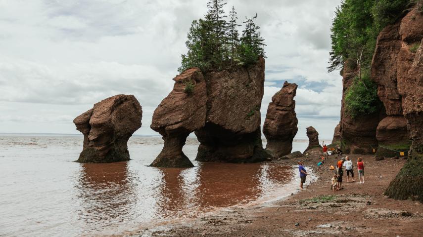 Hopewell Rocks Provincial Park Explorenb Tourism New Brunswick